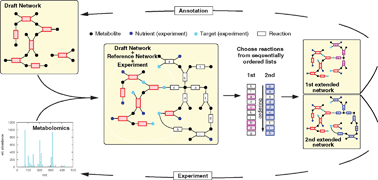 An integrative approach towards completing genome-scale metabolic ...