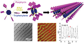 Synthesis and aggregate formation of triphenylene core-centered ...