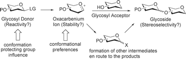 Mechanism of chemical O-glycosylation: from early studies to recent ...
