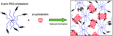 Supramolecular hydrogels formed by β-cyclodextrin self-association and ...