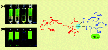 Affinity ionic liquid - Chemical Communications (RSC Publishing)