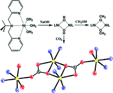 Carbonate formation within a nickel dimer: synthesis of a ...