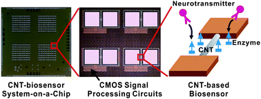Biosensor system-on-a-chip including CMOS-based signal processing ...