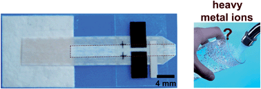 Electrochemical sensing in paper-based microfluidic devices - Lab on a ...