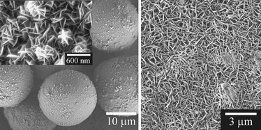 Direct growth of oriented Mg–Al layered double hydroxide film on Mg ...