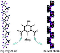 1D zigzag chain vs. 1D helical chain: the role of the supramolecular ...