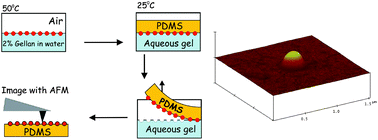 Measuring the three-phase contact angle of nanoparticles at fluid ...