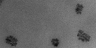 Strong anion effects on gold nanoparticle formation in ionic liquids ...