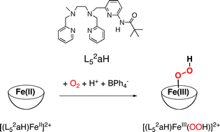 Activation of dioxygen by a mononuclear non-heme iron complex ...