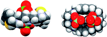 Ditopic binding of perchlorate anion to hexaazamacrocyclic hosts ...