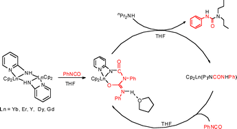 Isocyanate diinsertion into the N–H bond of the 2-pyridylamino ligand ...