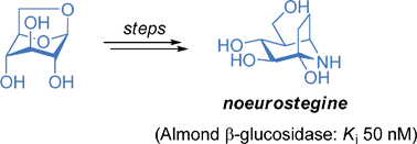 Synthesis and glycosidase inhibitory activity of noeurostegine—a new ...