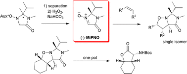 MiPNO, a new chiral cyclic nitrone for enantioselective amino acid ...