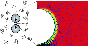 Hydrodynamic interaction of two colloids in nonadsorbing polymer ...