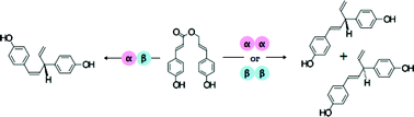 Subunit composition of hinokiresinol synthase controls enantiomeric ...