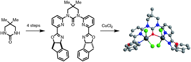 Facile synthesis of a chiral urea bridged bisoxazoline ligand and ...
