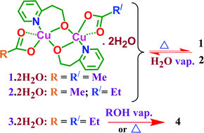 Single-crystal to single-crystal transformations in discrete hydrated ...