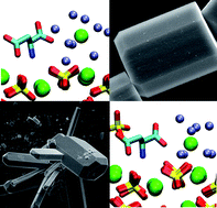 Controlling crystal growth with modifiers - CrystEngComm (RSC Publishing)