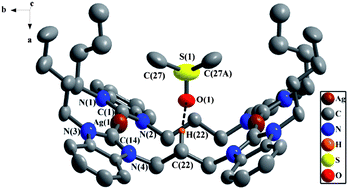 Macrocyclic dinuclear silver(i) complexes based on bis(N-heterocyclic ...