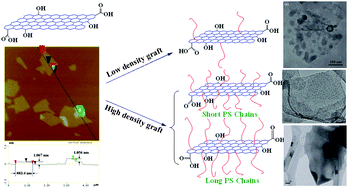 Single-layer graphene nanosheets with controlled grafting of polymer ...