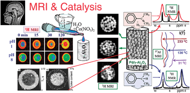 Magnetic resonance imaging methods for in situ studies in heterogeneous ...