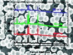 Templated fabrication of metal half-shells for surface-enhanced Raman ...