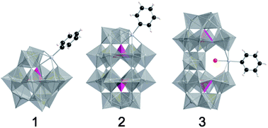 Mono-substituted Keggin, Wells-Dawson and {P2W21}-type polyoxometalates ...