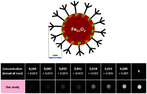 Dendronized iron oxide nanoparticles as contrast agents for MRI ...
