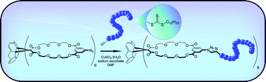 Well-defined star shaped polymer-fullerene hybrids via click chemistry ...