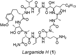 Total synthesis of largamide H - Chemical Communications (RSC Publishing)