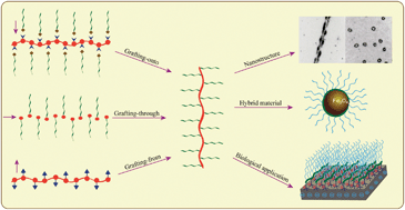 Well-defined graft copolymers: from controlled synthesis to ...