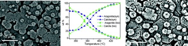 A study of the aragonite-calcite transformation using Raman ...