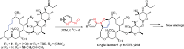 Preparation and biological evaluation of novel leucomycin analogs ...