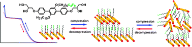 Reversible aggregation of X-Shaped bolaamphiphiles with partially ...