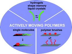 Actively-moving materials based on stimuli-responsive polymers ...