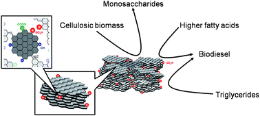Biomass conversion by a solid acid catalyst - Energy & Environmental ...