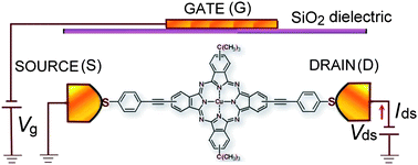 Fabrication and characterization of molecular scale field-effect ...