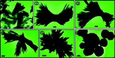Hierarchical mesoporous SrCO3 submicron spheres derived from reaction ...