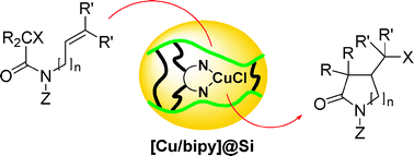 Catalytic atom-transfer radical cyclization by copper/bipyridine ...