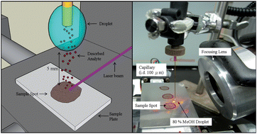 Effects of matrix, electrospray solution, and laser light on the ...