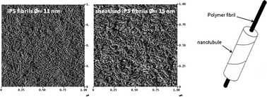 Design of hybrid networks by sheathing polymer fibrils with self ...