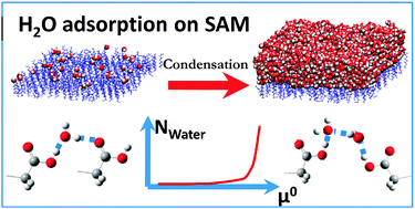 Water adsorption on hydrophilic and hydrophobic self-assembled ...