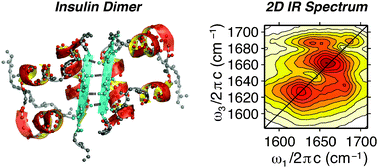 Insulin dimer dissociation and unfolding revealed by amide I two ...