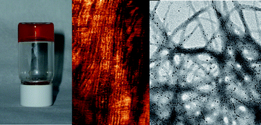 Gels as a soft matter route to conducting nanostructured organic and ...