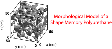 Modeling the morphology and mechanical behavior of shape memory ...