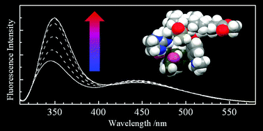 A ratiometric TICT-type dual fluorescent sensor for an amino acid ...
