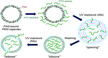 UV-triggered encapsulation and release from polyelectrolyte ...