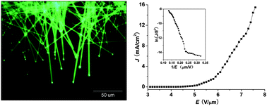 Facile solution synthesis without surfactant assistant for ultra long ...