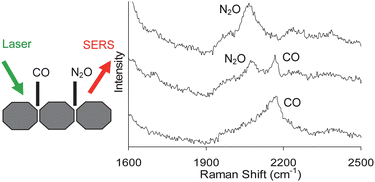 Surface enhanced Raman spectroscopy (SERS) sensors for gas analysis ...