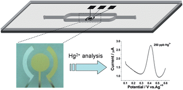 Microfabricated on-chip integrated Au–Ag–Au three-electrode system for ...